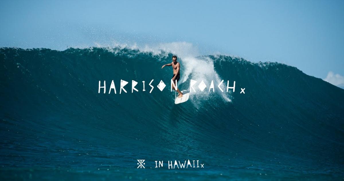 Roark in Hawaii x Harrison Roach | Around the Waves